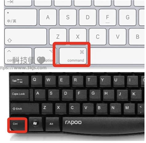 Command Staff College Administration - Digital License Hub
