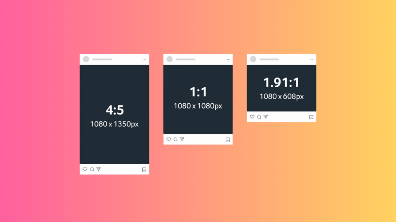 Ig Portrait Size - Digital License Hub