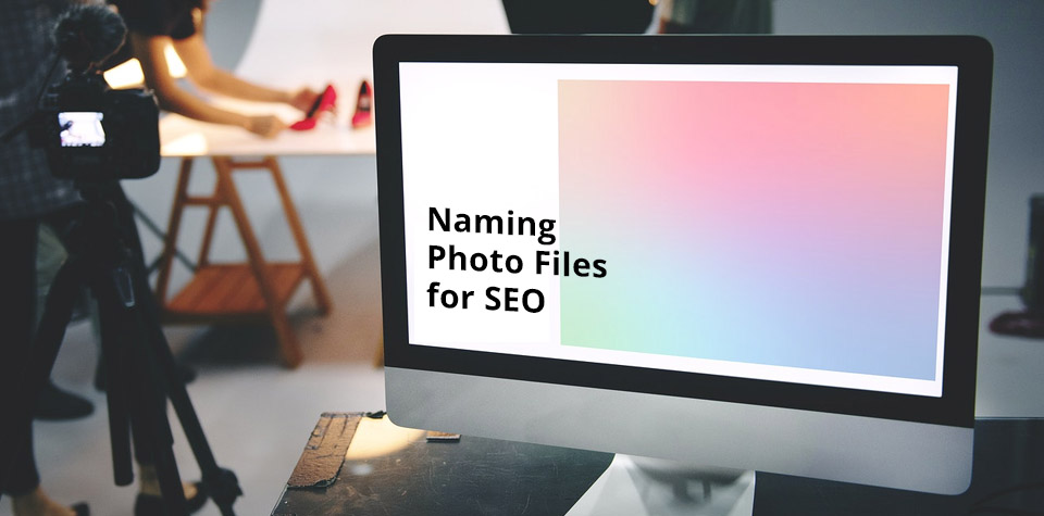 Naming Website - Digital License Hub