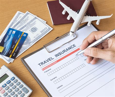 Premium Travel Insurance - Digital License Hub