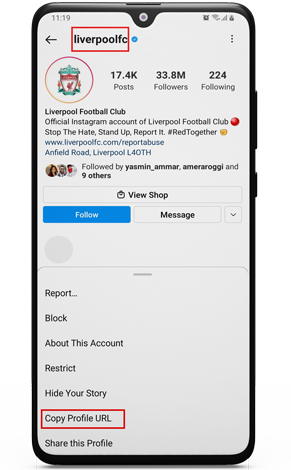 Instagram Viewer - Digital License Hub